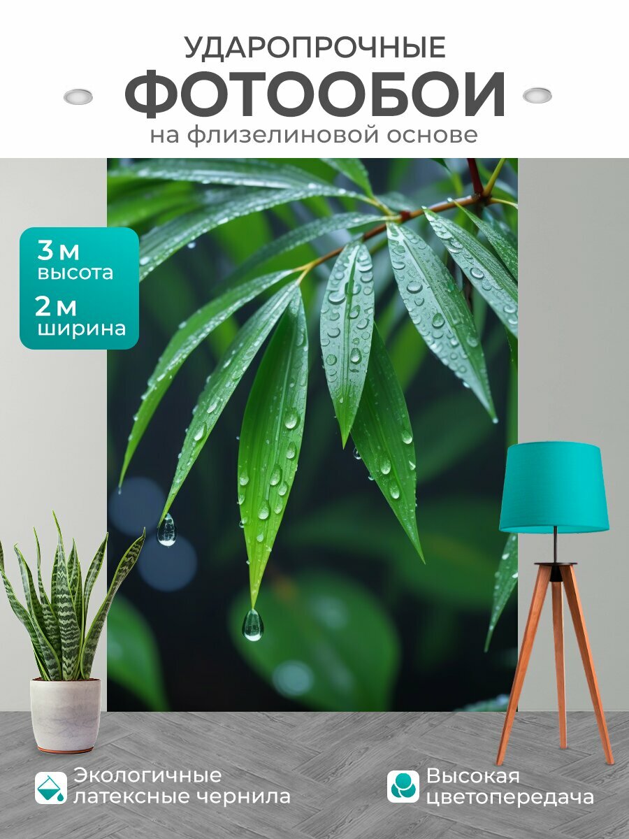 Фотообои моющиеся ударопрочные "Бамбук под дождём с каплями на листьях" 200x300 см. флизелиновые на стену