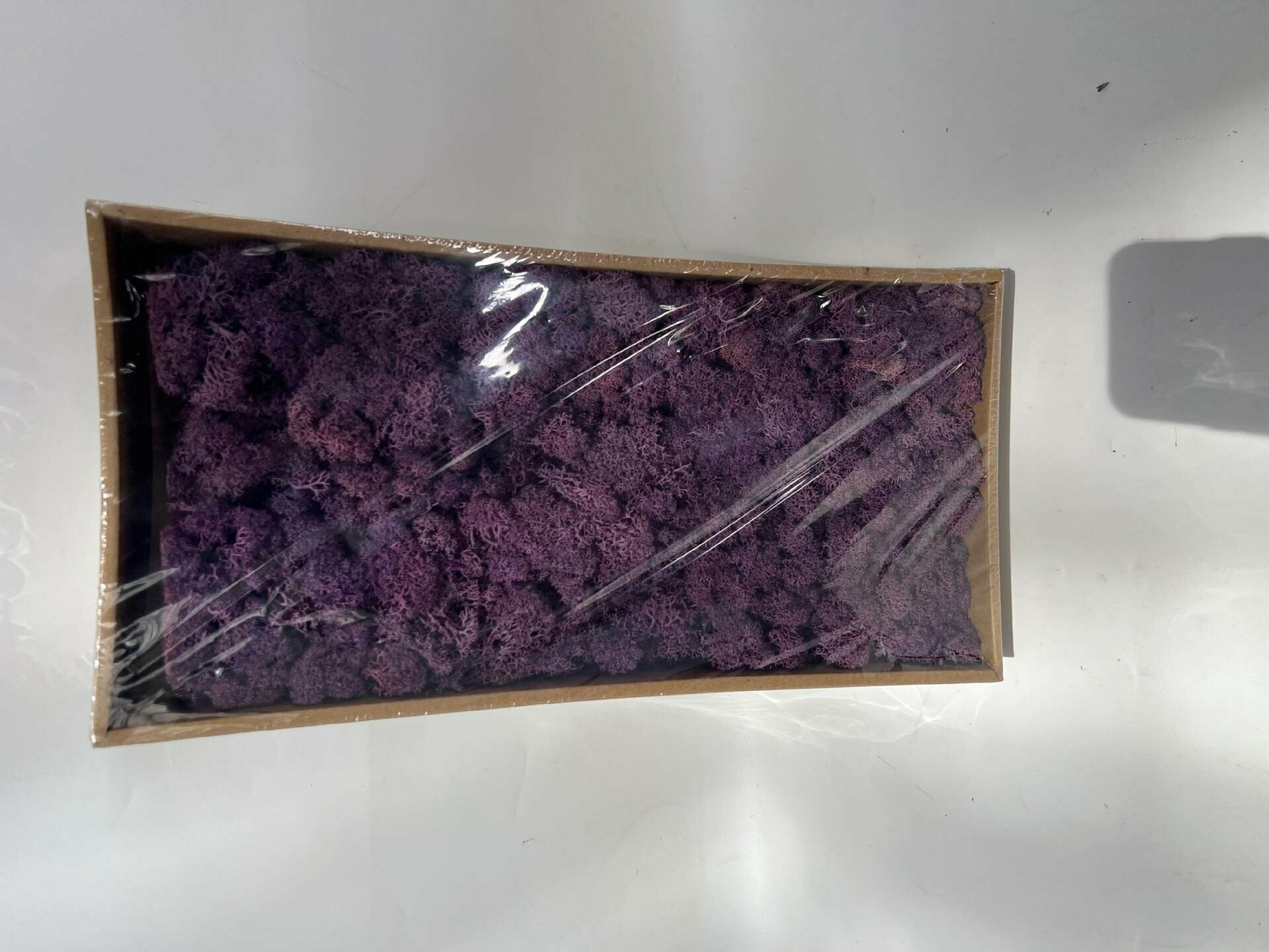 Вечный мох Grass of Dreams mzchc-0035, темно-фиолетовый, в штучной упаковке