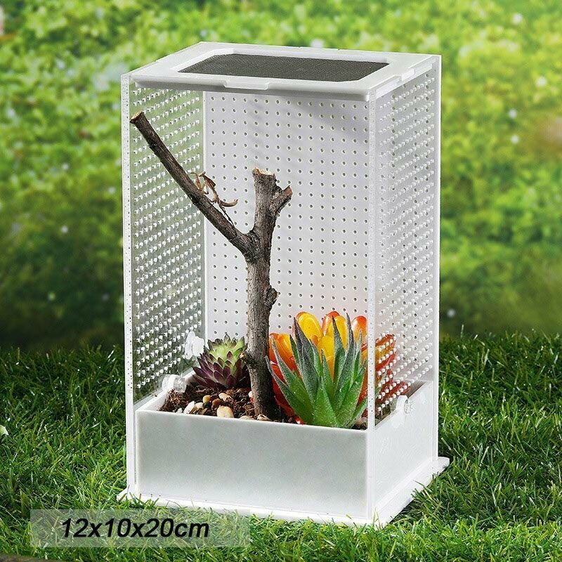 Акриловая коробка для насекомых, коробка для разведения богомолов-good value