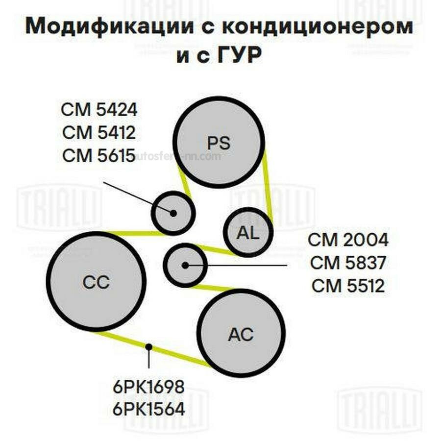 TRIALLI CM5424 Ролик привод. ремня Peugeot 206 (98-) 1.1i/1.4i/1.6i (с натяж. мех) автомат. (CM 5424)