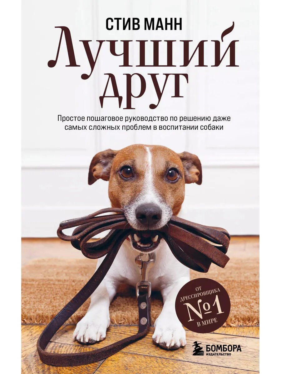 Лучший друг. Простое пошаговое руководство по решению даже с