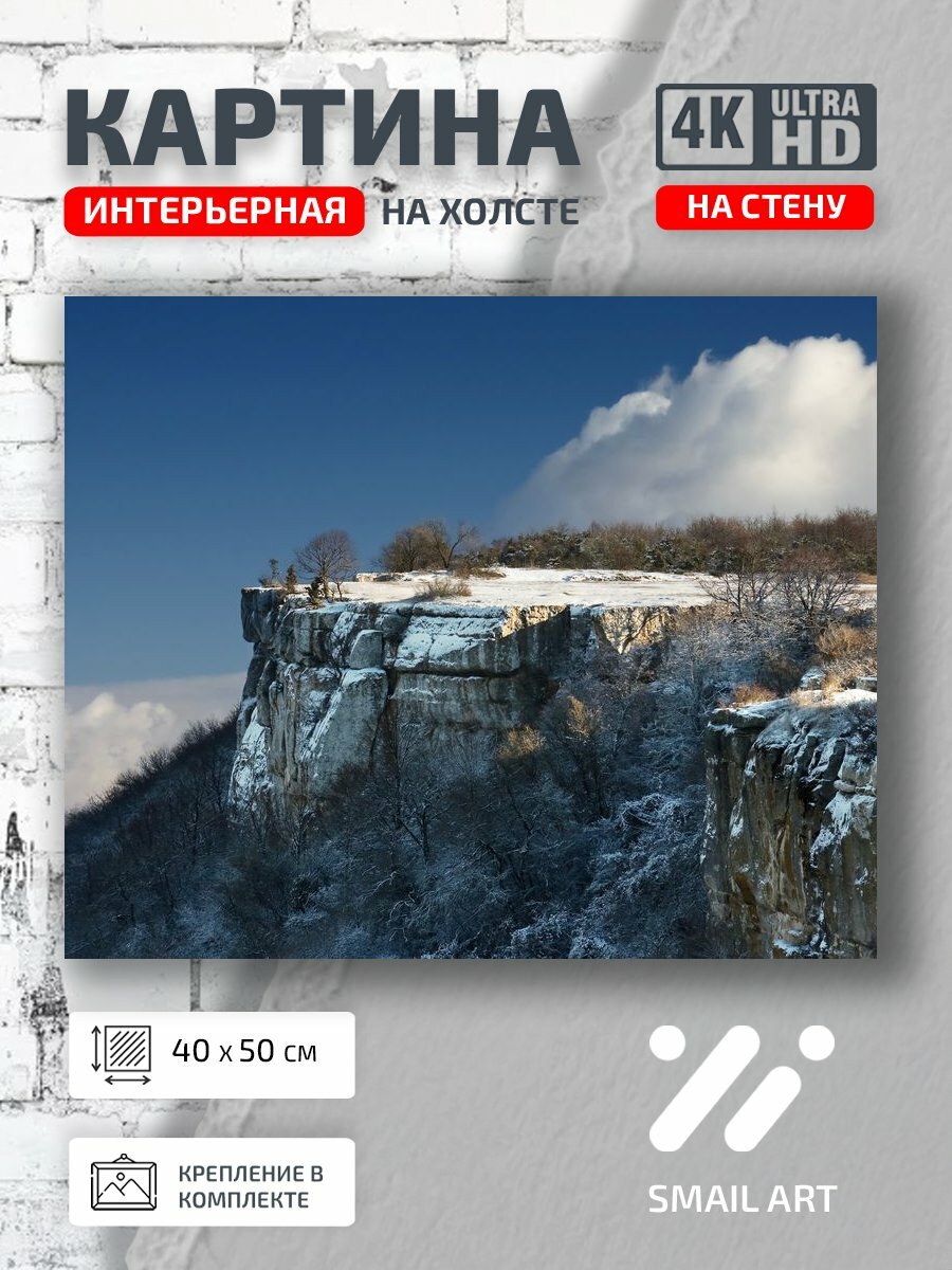 Картина на холсте интерьерная 40 на 50 на стену Зима Landscape для кабинета пейзаж интерьер