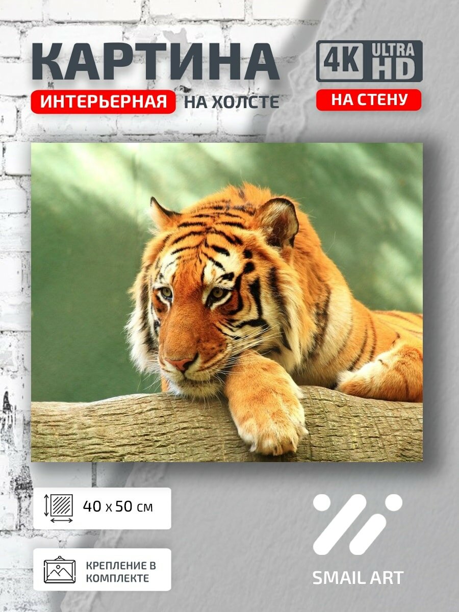 Картина на холсте интерьерная 40 на 50 на стену Тигровое бревно для гостиной атмосфера