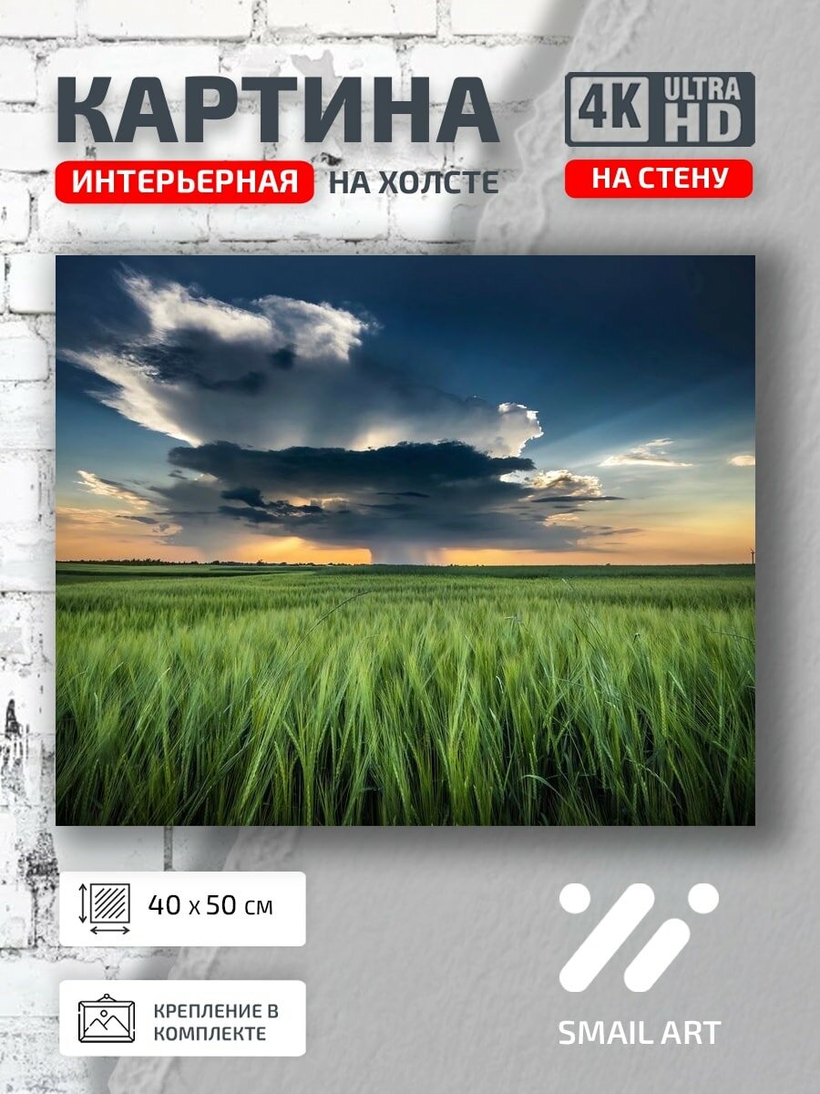 Картина на холсте интерьерная 40 на 50 на стену Пейзаж колосья для офиса атмосфера
