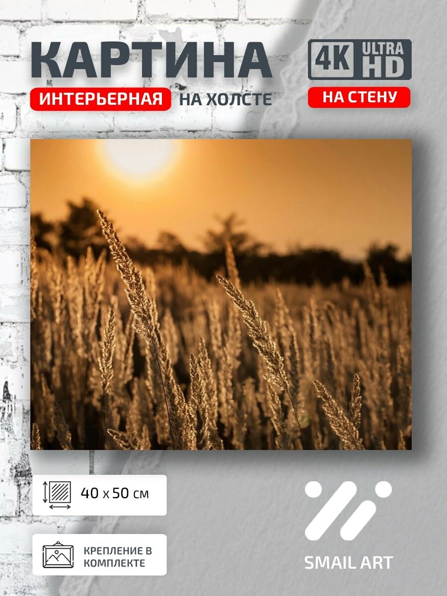 Картина на холсте интерьерная 40 на 50 на стену Природа Колосья для офиса пейзаж
