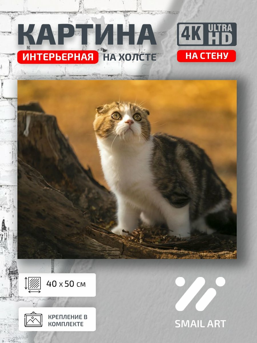 Картина на холсте интерьерная 40 на 50 на стену Пенек Animal для детской animal style декор