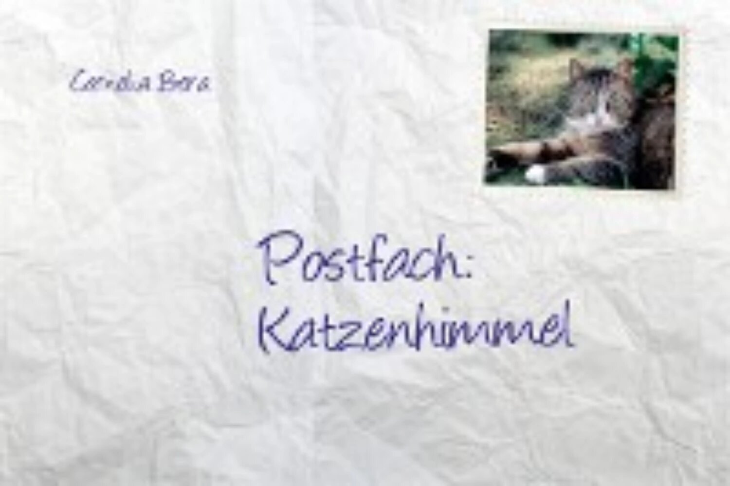 Postfach Katzenhimmel [Цифровая книга]