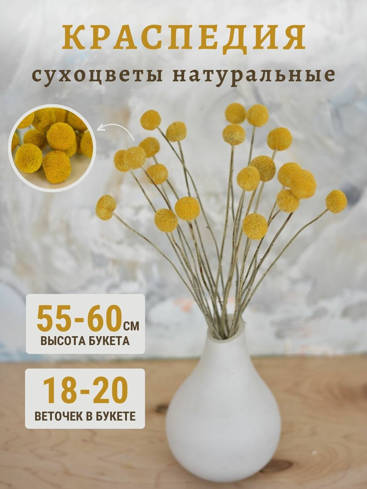 Сухоцветы для декора Trava Decor цветы Краспедия для вазы