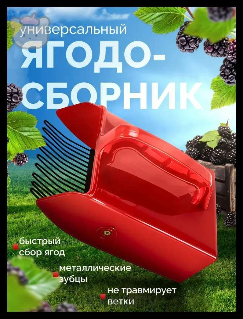 Ягодный сборщик плодов