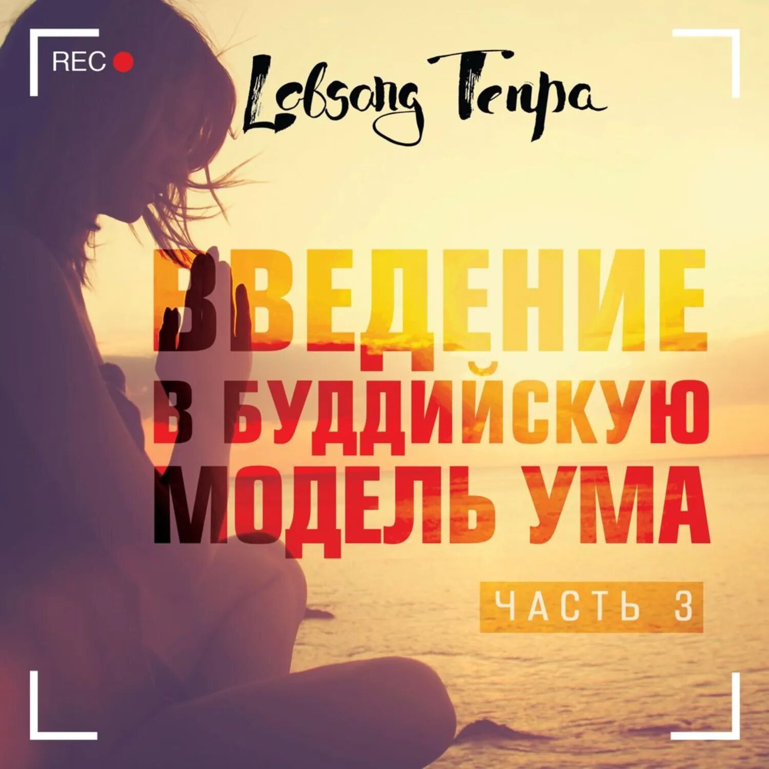 Введение в буддийскую модель ума. Часть 3 [Аудиокнига]