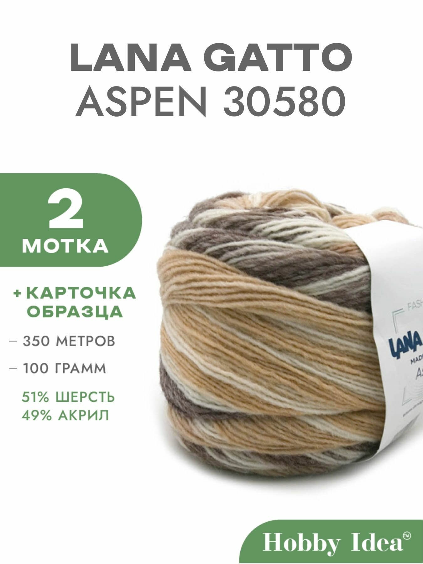 Пряжа Lana Gatto Aspen 30580 Капучино 2 мотка (Нить слабой крутки меланжевая Лана Гатто Аспен)