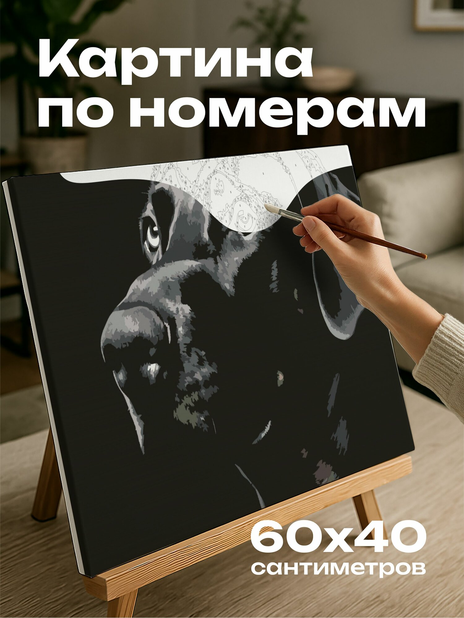 Картина по номерам 60x40 см, черно-белая фотография, охотник, доберман, неподвижность, ожидание, стоит во весь рост