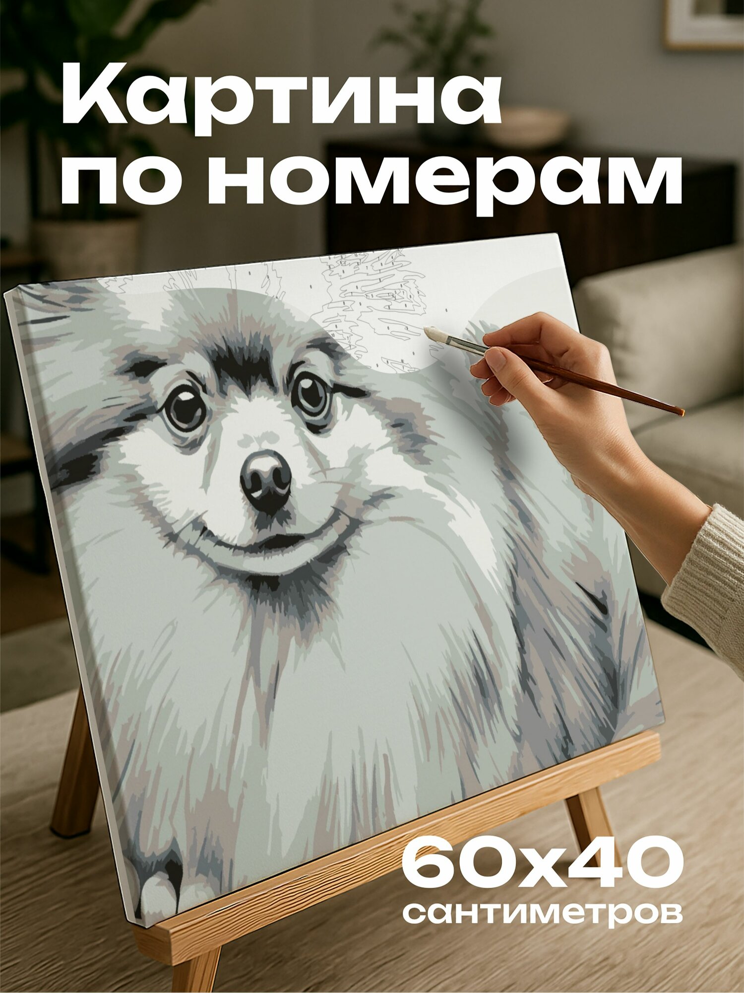 Картина по номерам 60x40 см, карандашный, набросок, шпиц, царственная аура, аристократические черты, благородная порода