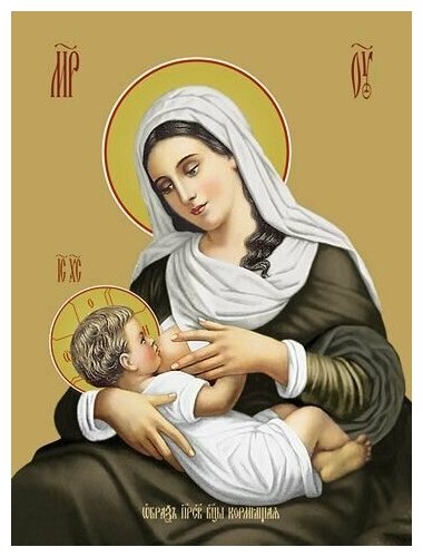 Освященная икона на дереве ручной работы - Кормящая икона божьей матери, 12х16х3 см, арт Ид3524