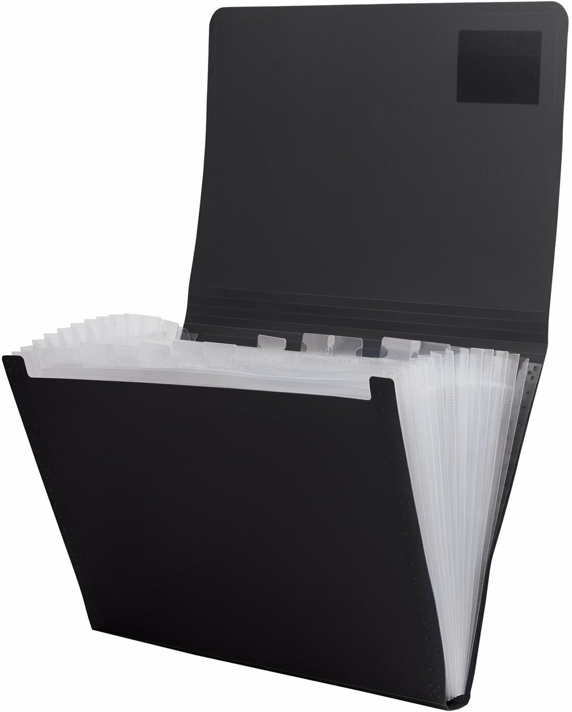 Упаковка 3 шт. Папка на резинках BRAUBERG "Business", А4, 13 отделений, пластиковый индекс, черная, 0,5 мм, 224147
