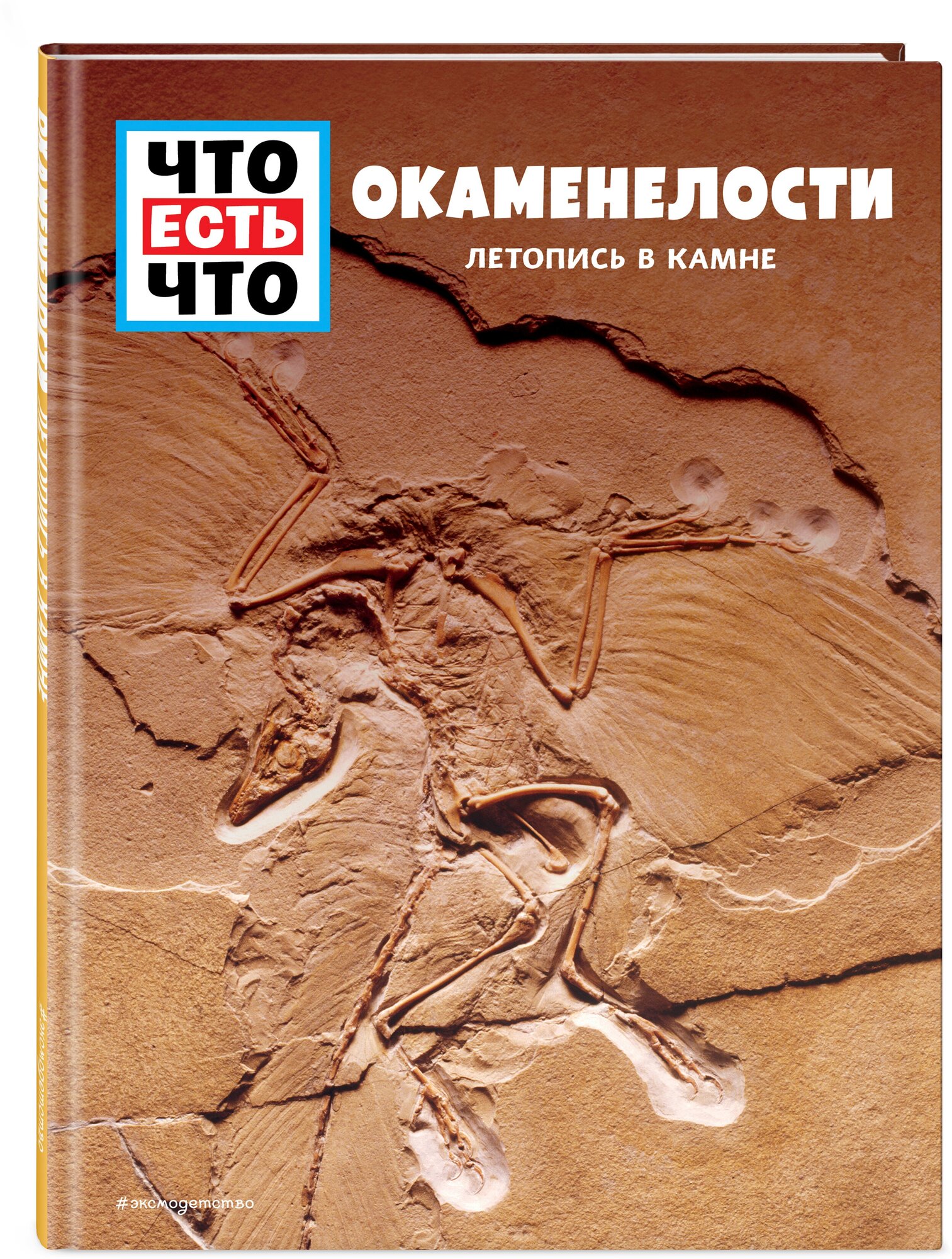 Баур М. Окаменелости. Летопись в камне