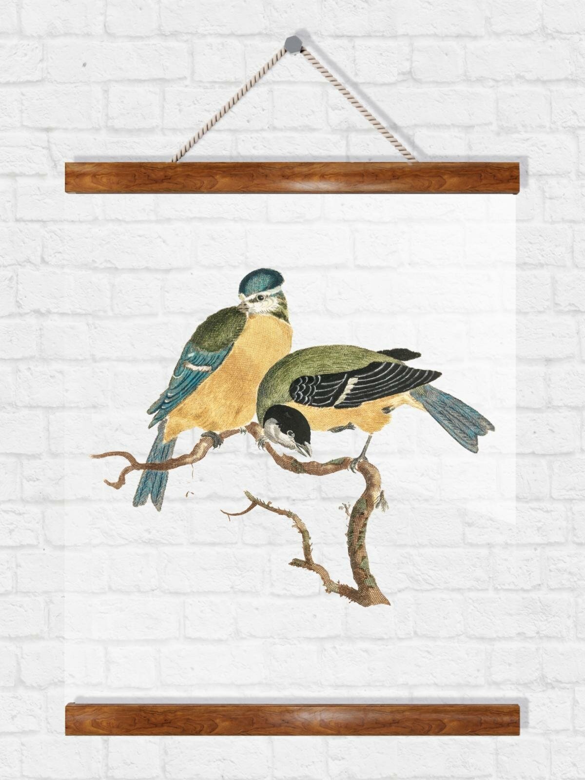 Постер / Плакат / Картина Прозрачный постер - Две желтогрудые птички 40x50