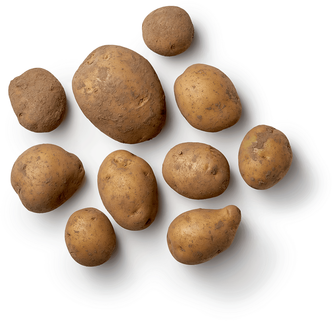 Картофель, Россия, вес нетто 1000 гр, условия хранения: от 0 °C до +25 °C