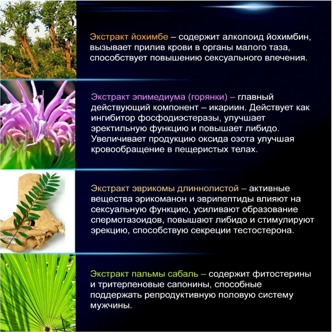 Виалиссил капсулы для мужчин 0,45 г, 30 шт, фармакор — фото 1