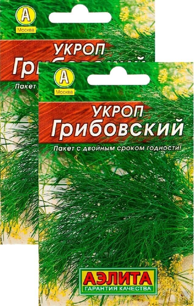 Семена Укроп Грибовский (2 г), 2 пакета, Агрофирма Аэлита, для засолки