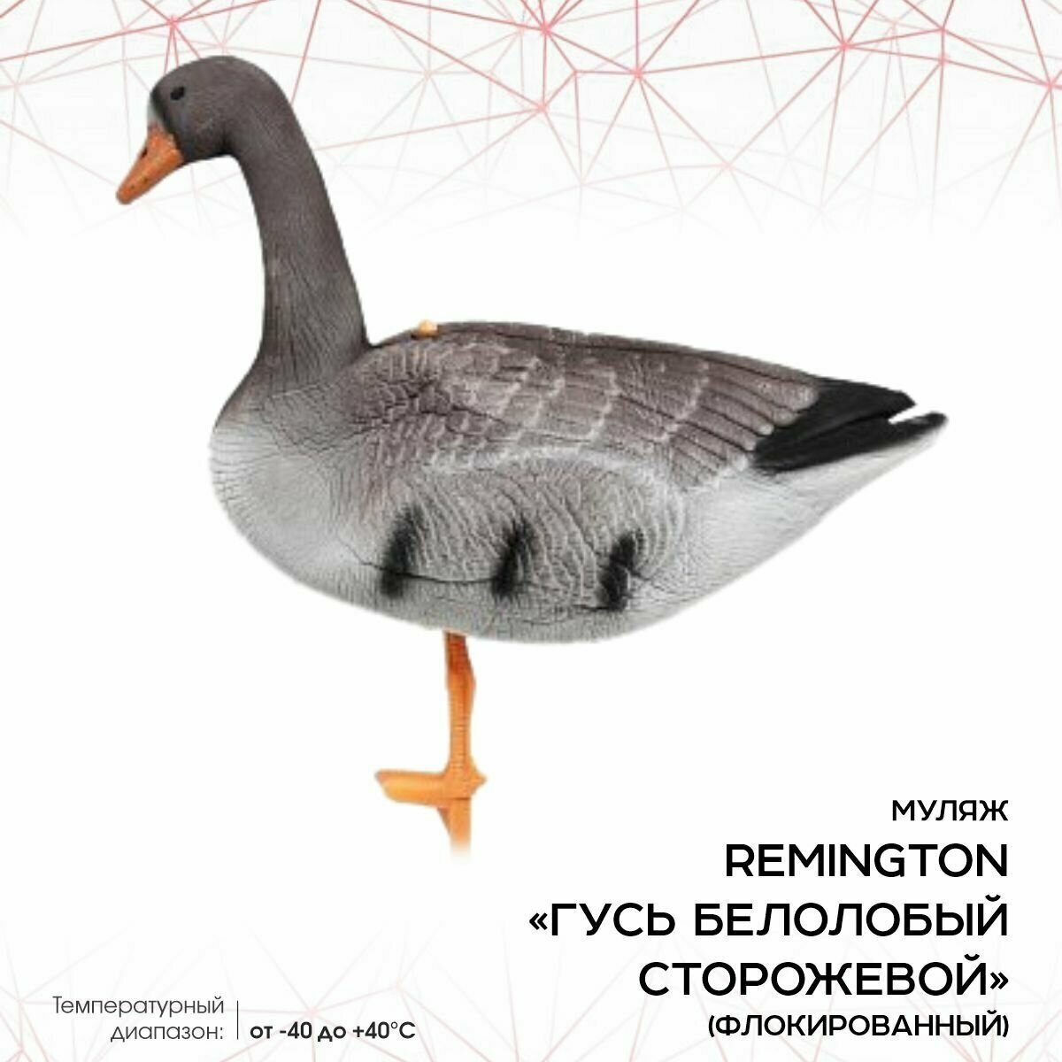Муляж гусь белолобый сторожевой (флокированый) R-MGGf