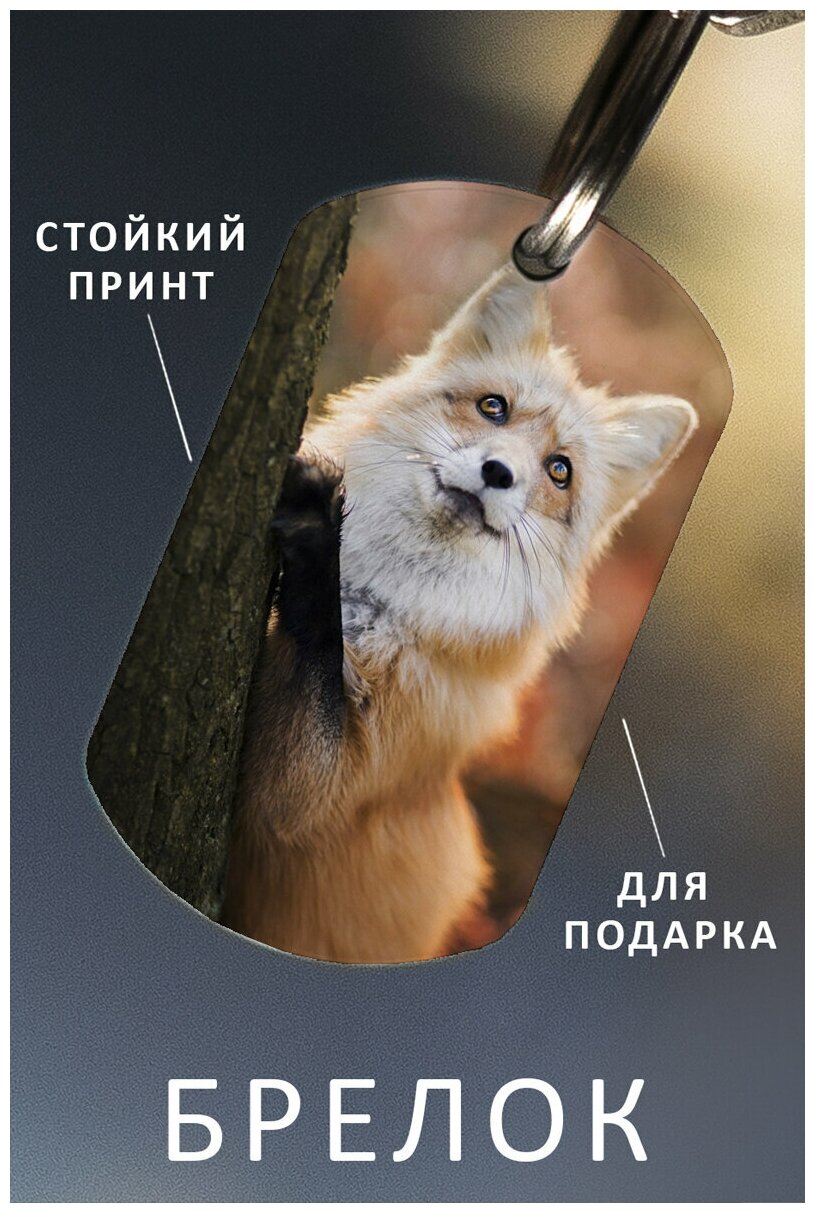 Брелок ZHENYA CLOUD