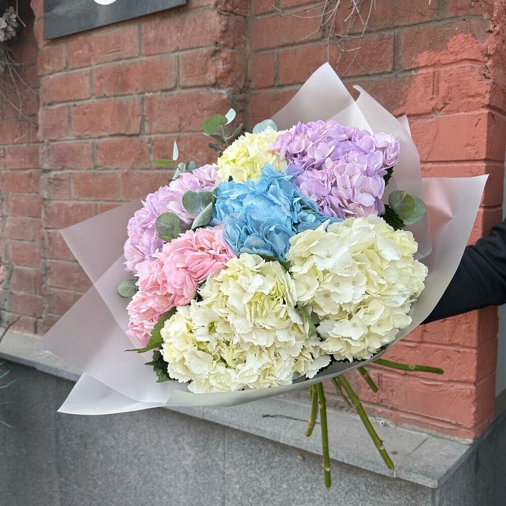 Букет Protea "Гортензия", гортензия, эвкалипт, упаковка, 50см — фото 1
