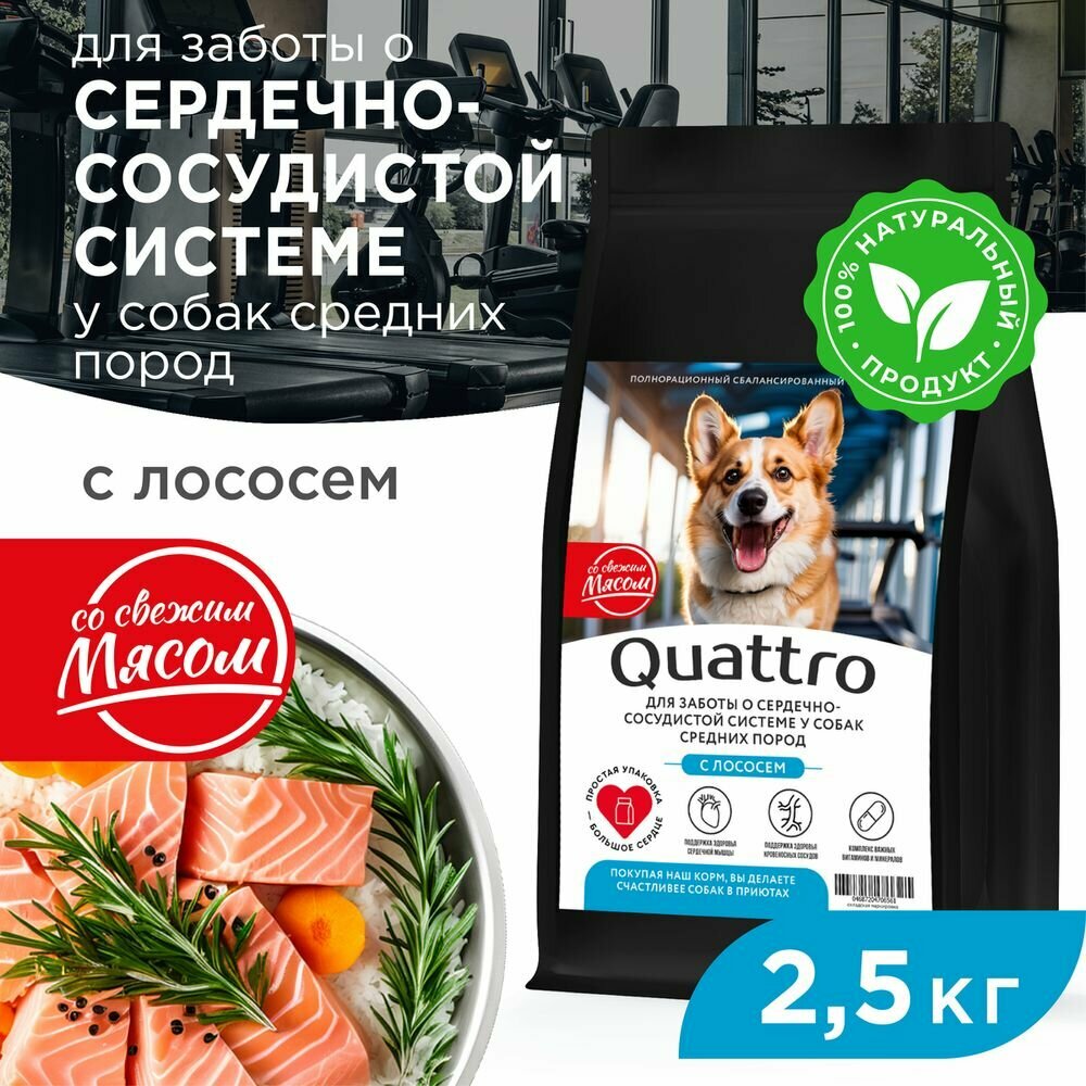 Корм сухой для взрослых собак средних пород, премиум полнорационный комплекс, забота о сердце и сосудах, с лососем, 2,5 кг, QUATTRO