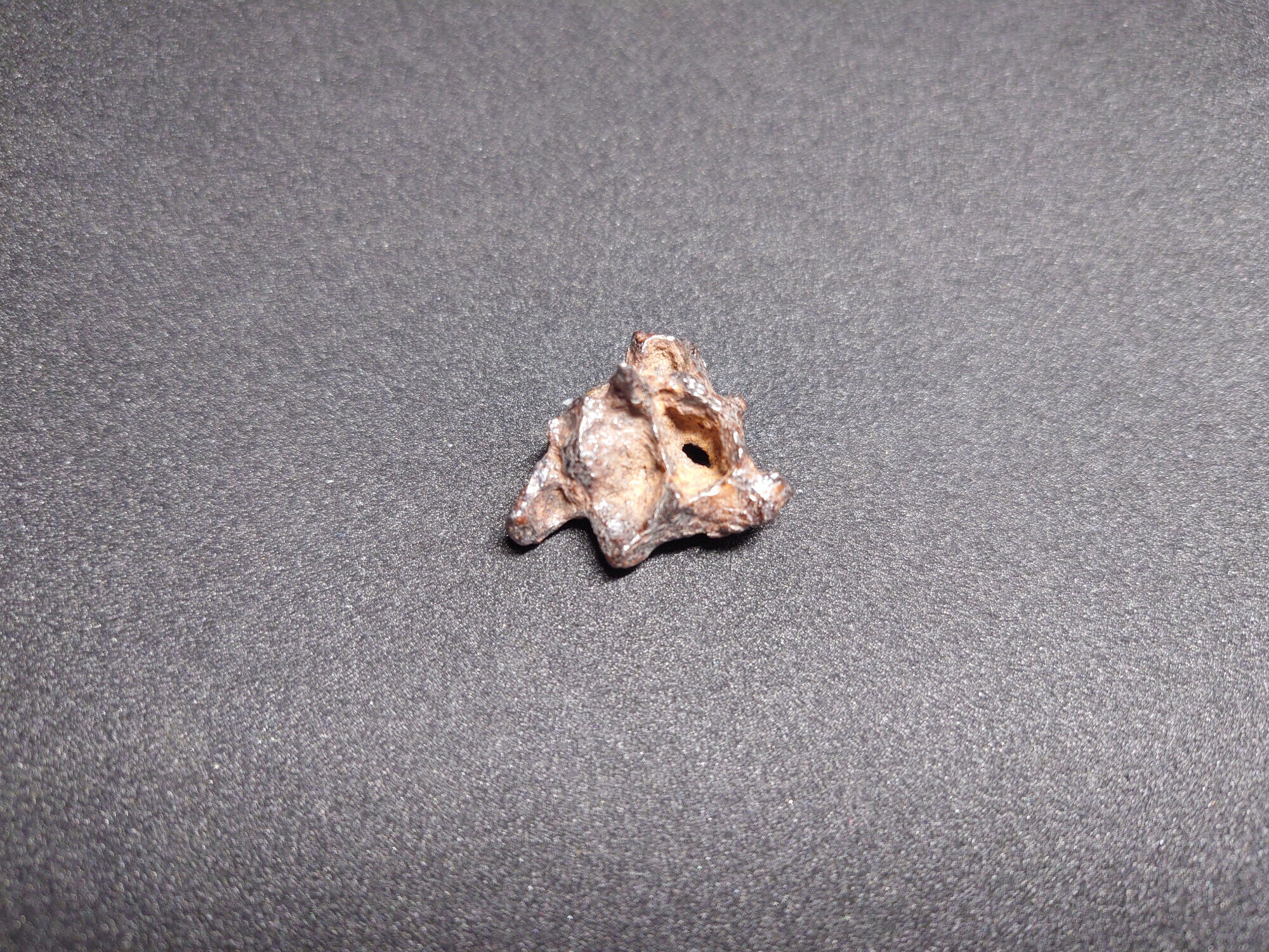 Метеорит Sericho [9.9 гр.]