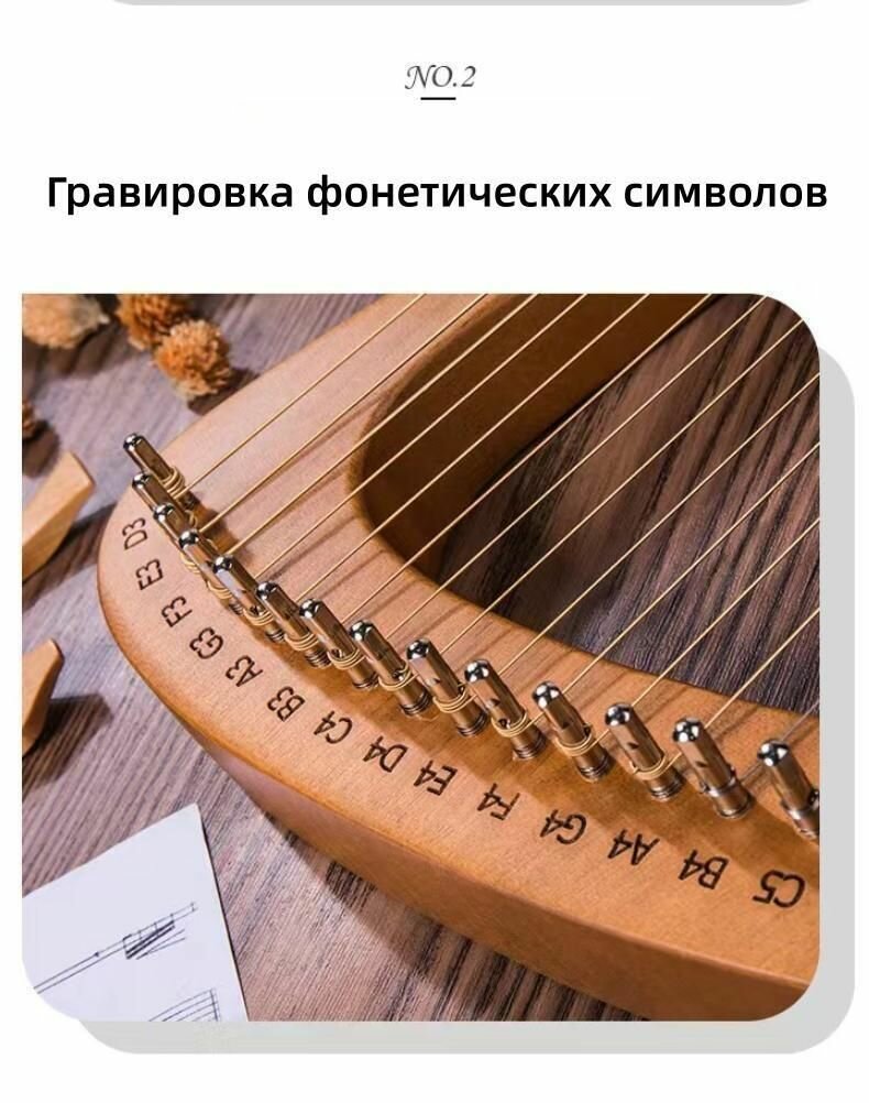 Струнный инструмент — фото 1