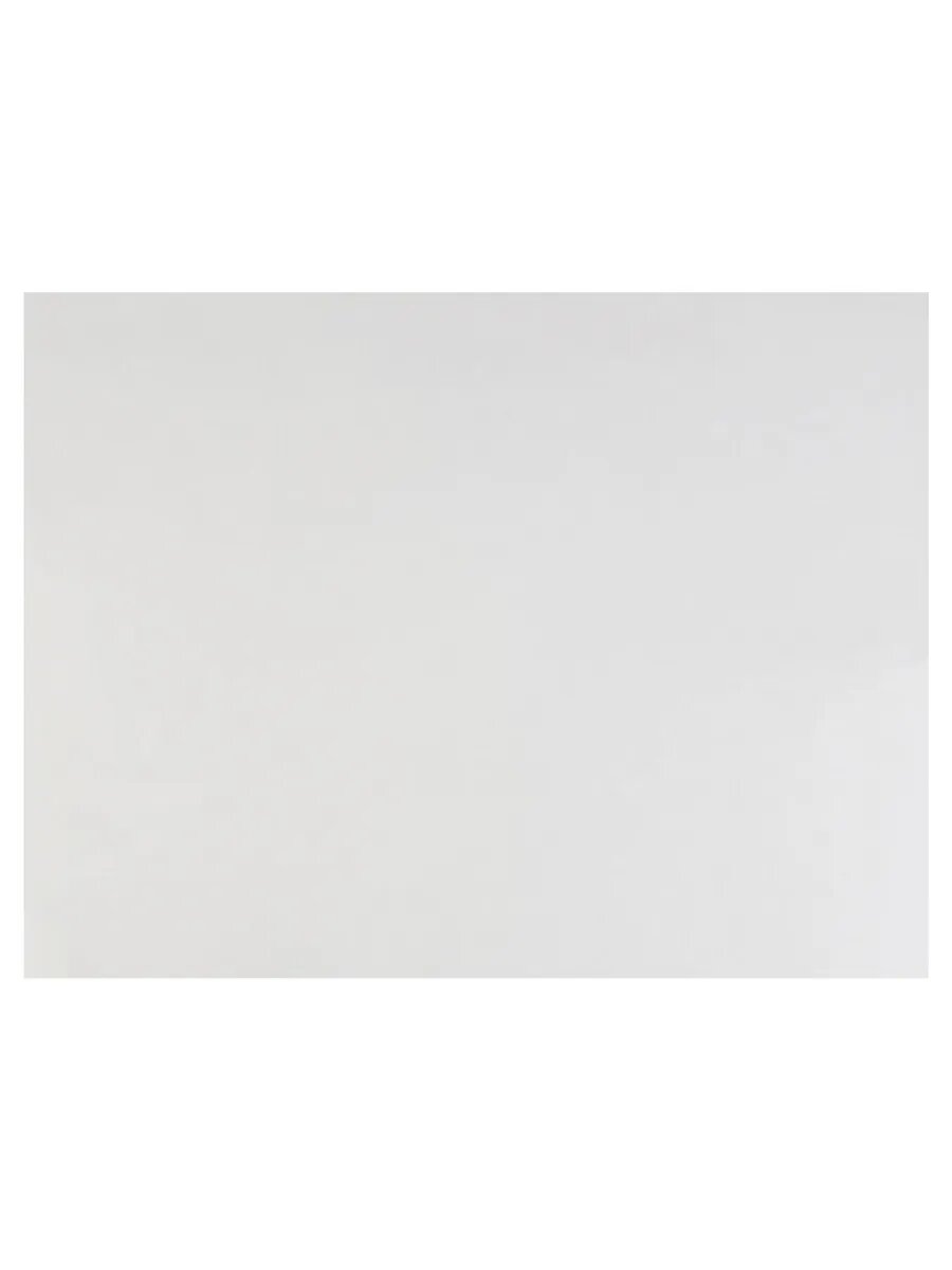 Бумага для пастели 1 лист А2+ 500х650 мм белый