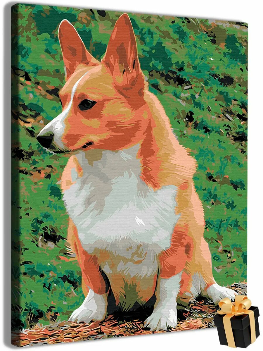 Картины по номерам Корги