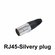 RJ45-Silvery plug