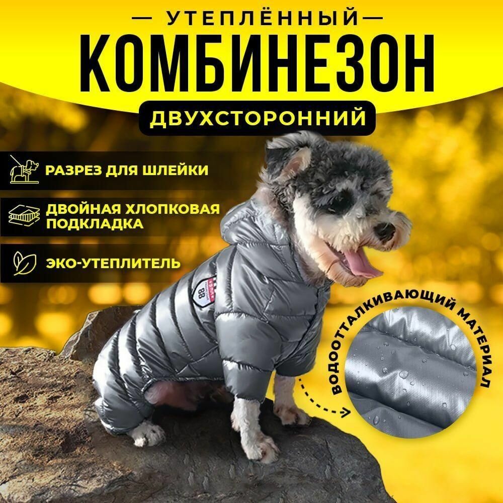 Одежда для животных