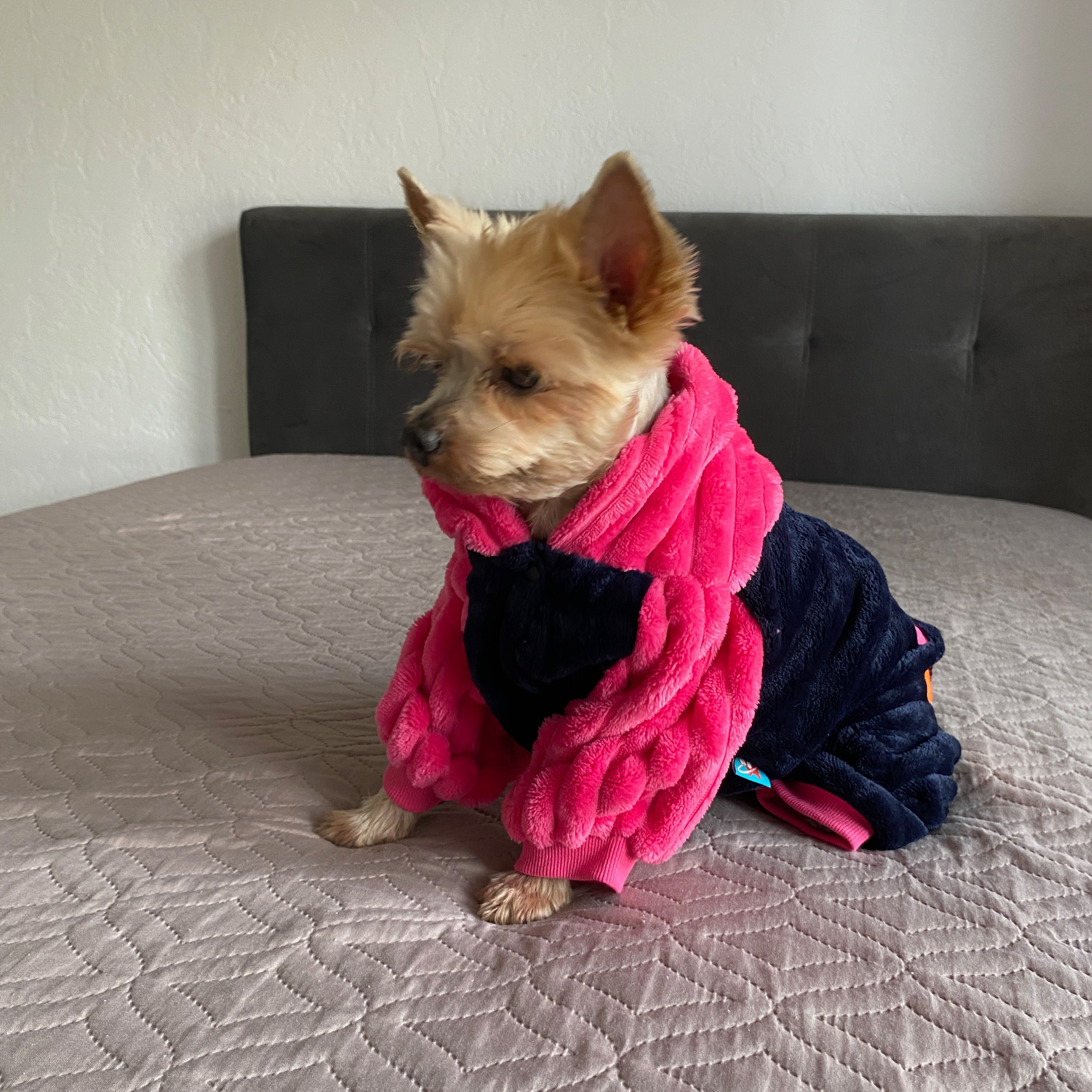 Комбинезон плюшевый для кошек и собак маленьких и средних пород, цвет розовый