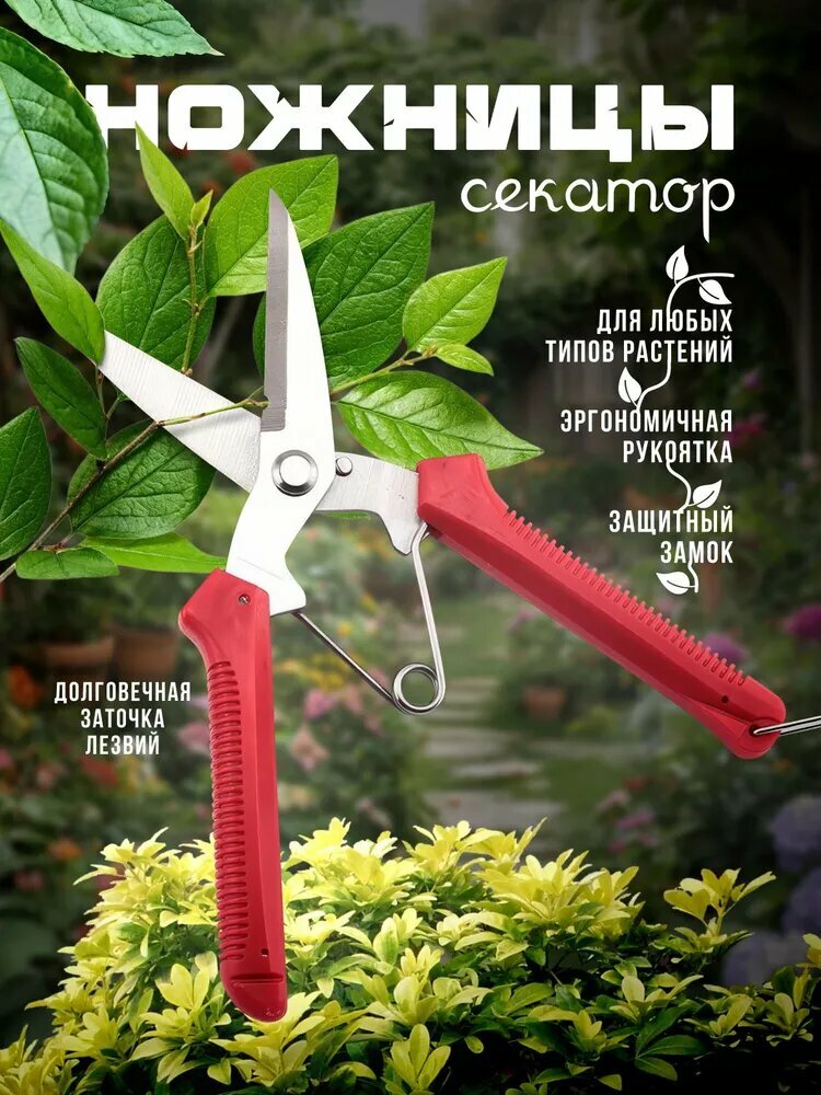 Садовые ножницы / секатор для цветов / флористические с прямыми лезвиями