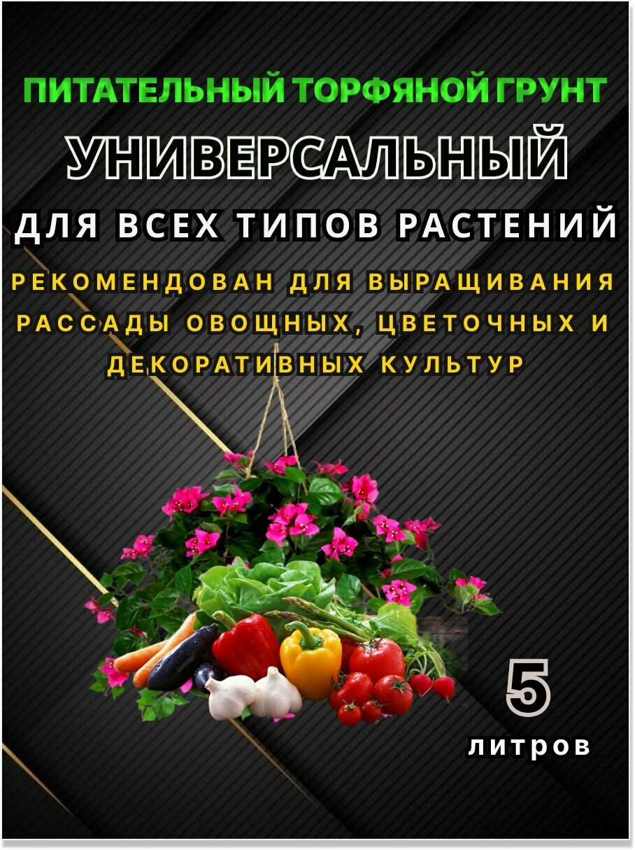 Удобрение универсальное Биогумус концентрат, 5л (ИП Большакова Н. Е.)