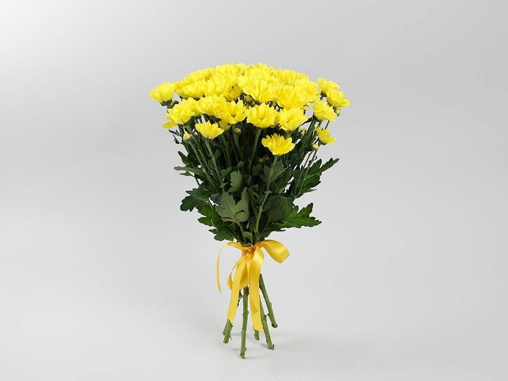 Букет 7 желтых кустовых хризантем