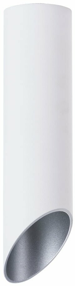 Потолочный светильник Arte Lamp Pilon-Silver A1535PL-1WH