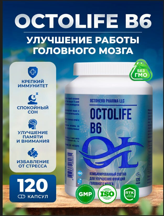 БАД OctoLife B6 для улучшения функций головного мозга 120 шт