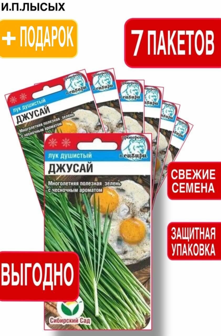 Семена Лук душистый Джусай 7шт