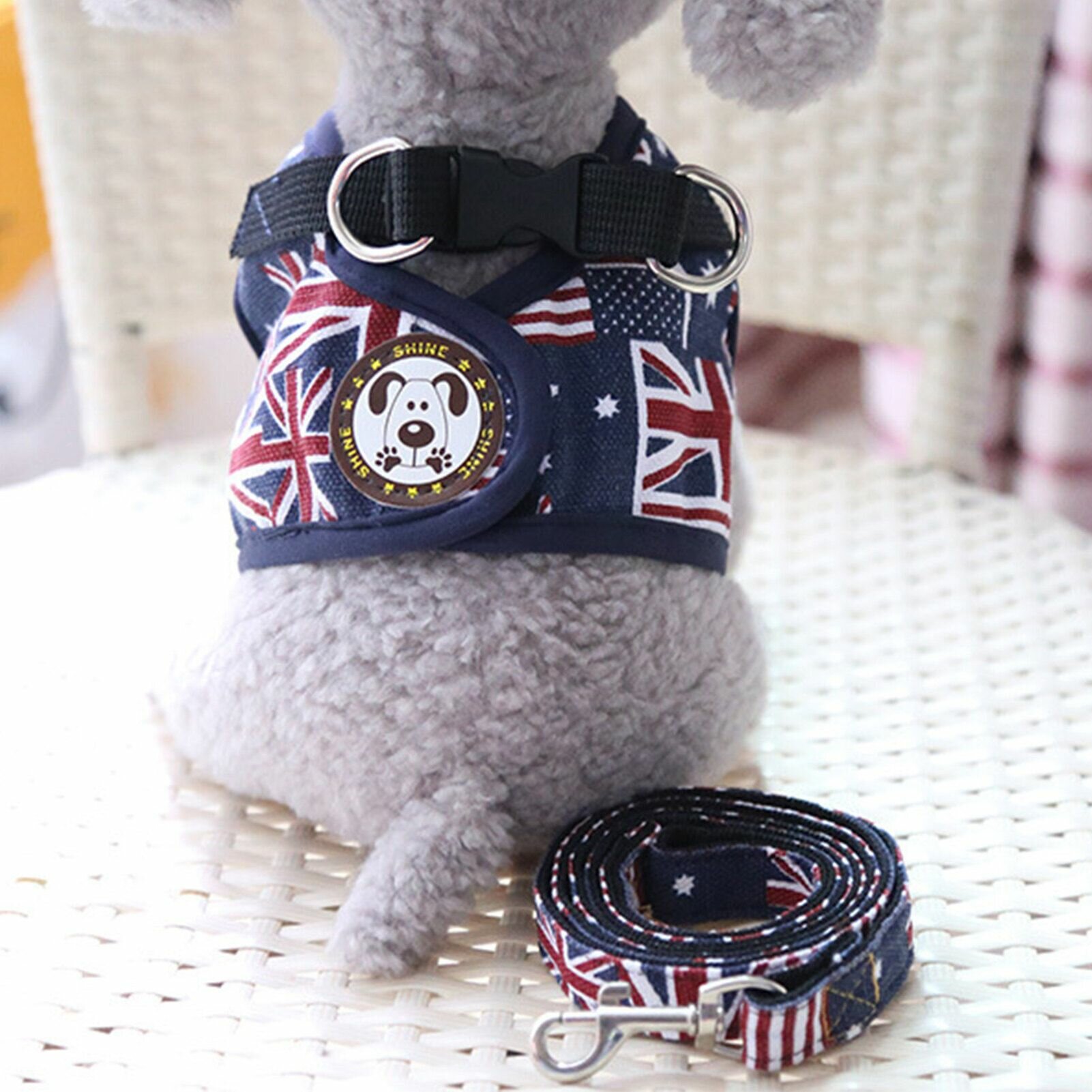 Шлейка для собак Набор поводков для собак Шлейка и поводок для домашних животных (M)