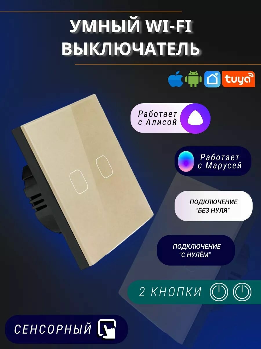 Сенсорный электронный двухклавишный wifi выключатель tuya