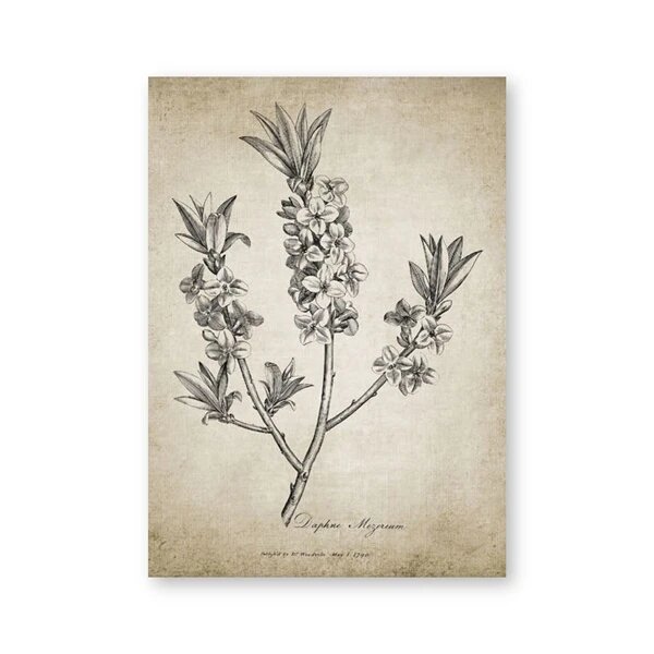 Винтажные ботанические плакаты на холсте aooins PH5336, 13x18 cm No Frame