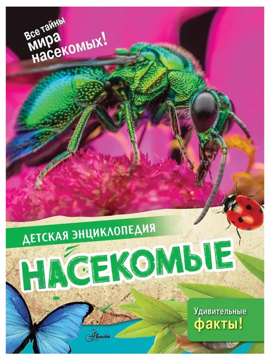 Насекомые
