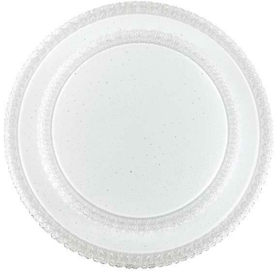 Настенно-потолочный светодиодный светильник с пультом ДУ Sonex Floors 2041/DL