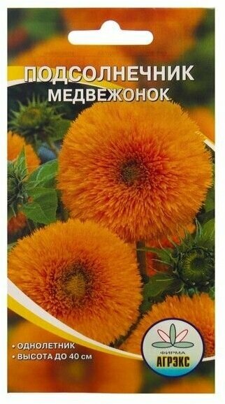 Семена Цветов Подсолнечник Медвежонок, 10 шт