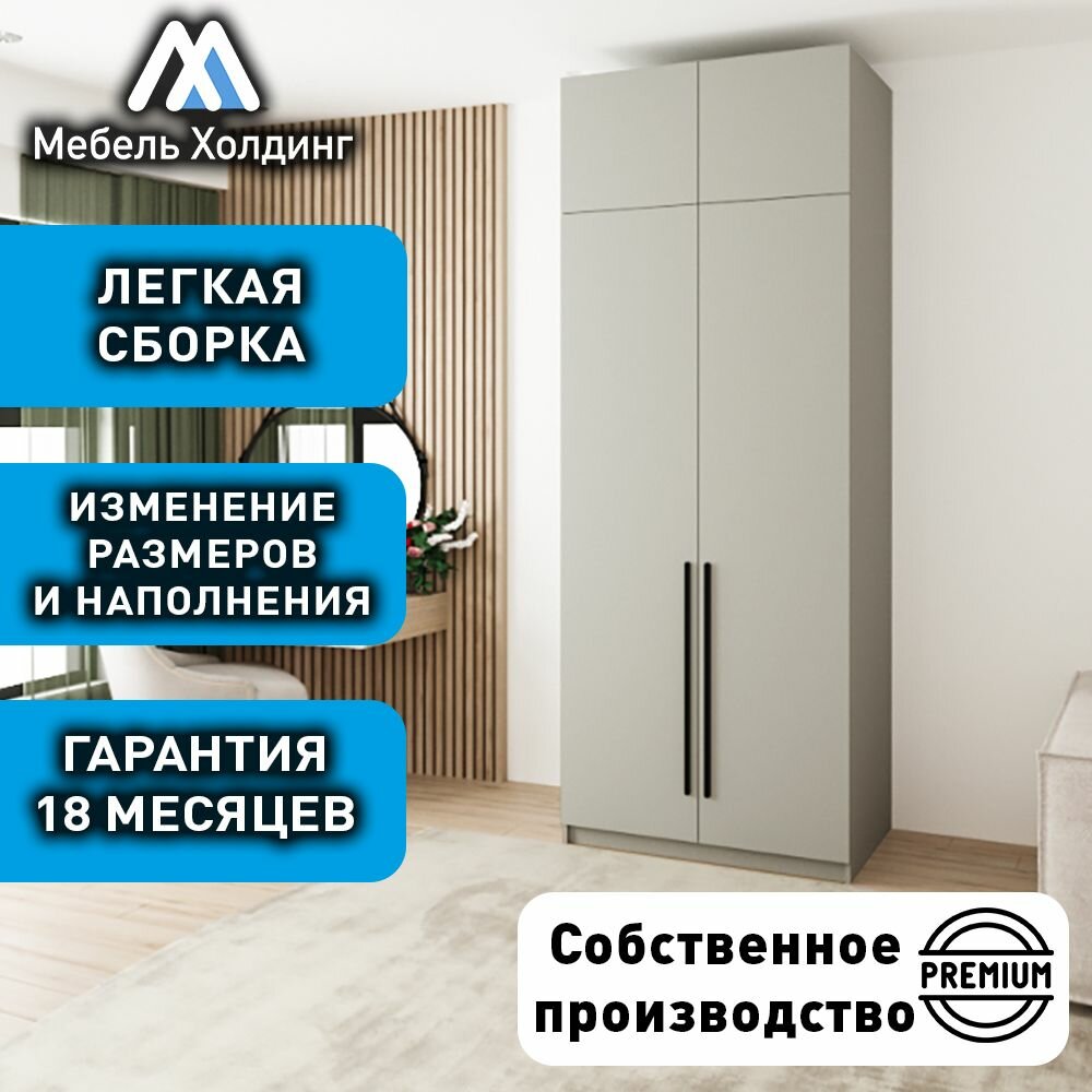 Шкаф распашной Макс серый, 2-х дверный, 100х50х260, мебель холдинг