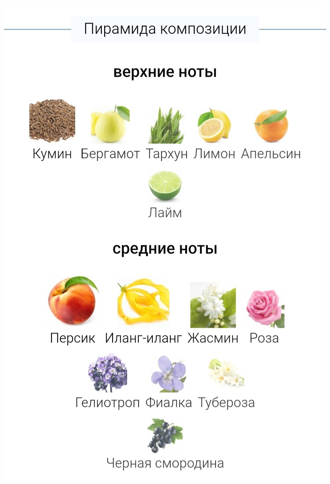 Духи ручной работы, по мотивам 'Diaghilev', для мужчин и женщин Lu Parfume. — фото 1