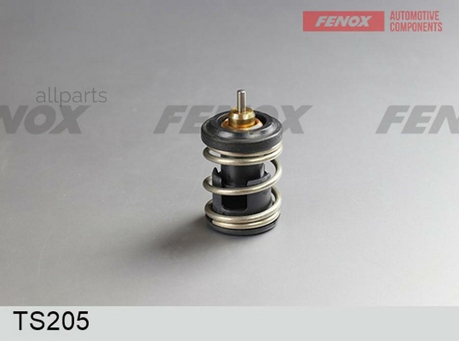 FENOX TS205 Термостат VW Polo 12- Skoda Rapid 14-